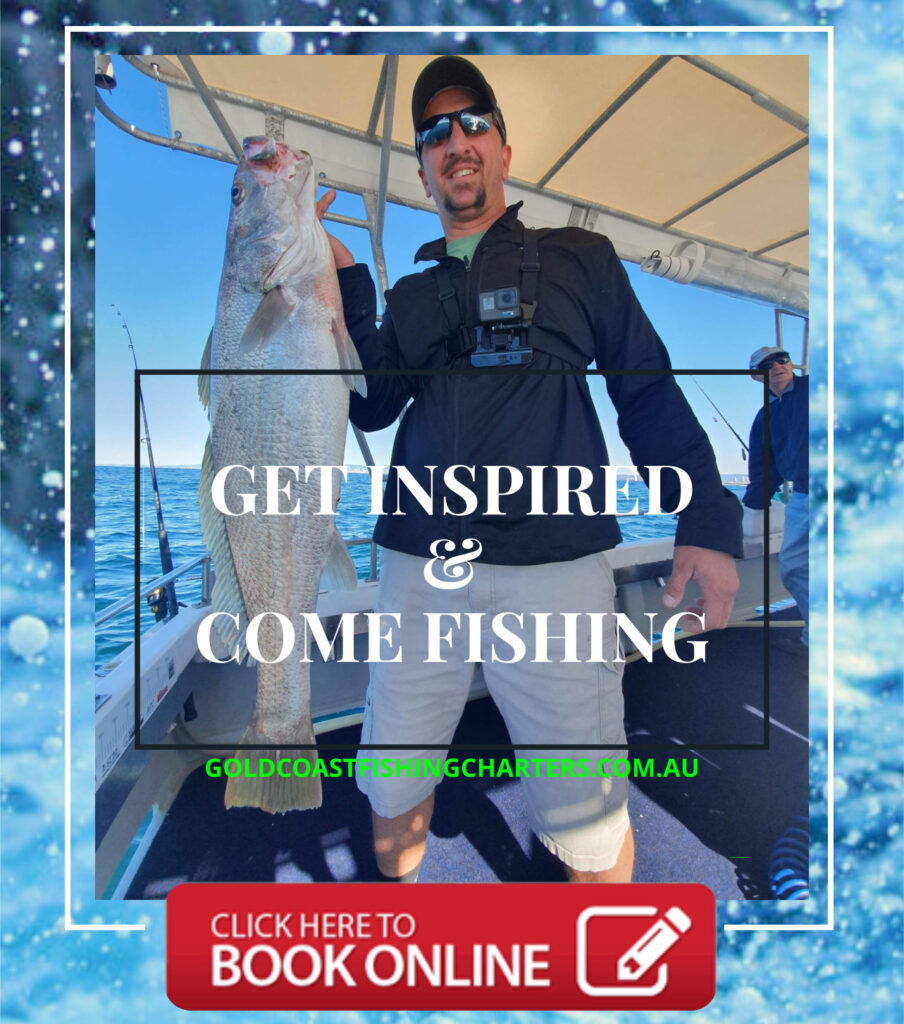Gold Coast Fishing Charters - Deep Sea Fishing - Main Beach QLD